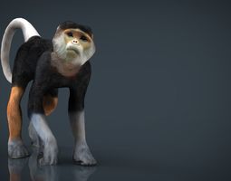 Monkey 3D Models | CGTrader
