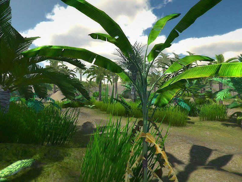 3D model Tropical Models VR / AR / low-poly | CGTrader