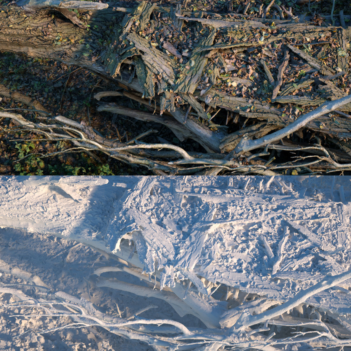 Tree Bridge 3D model | CGTrader