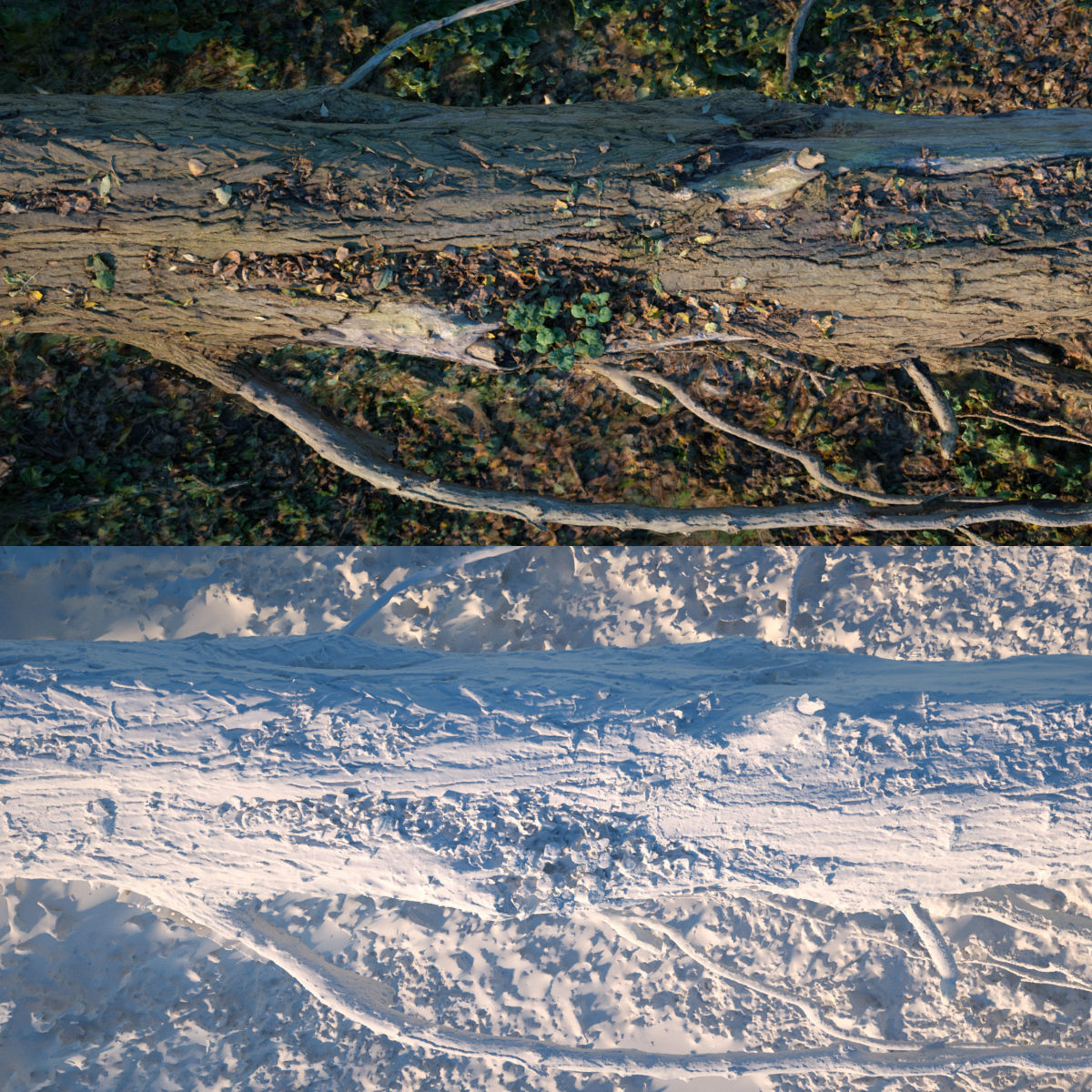 Tree Bridge 3D model | CGTrader