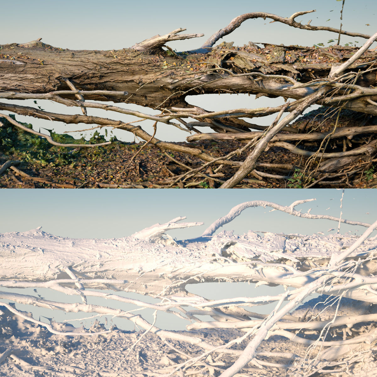 Tree Bridge 3D model | CGTrader