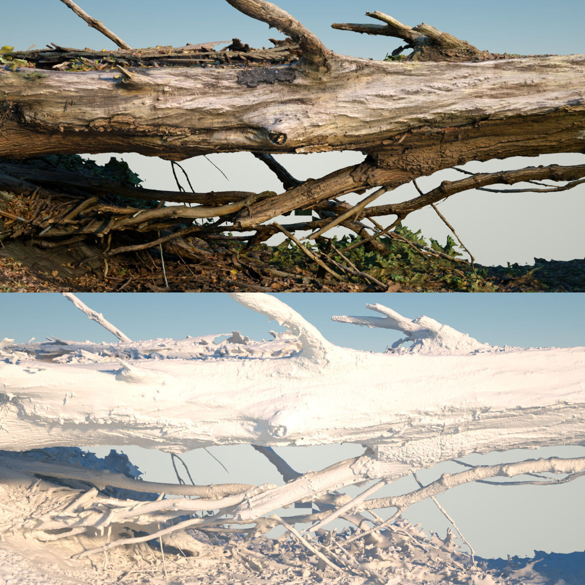 Tree Bridge 3D model | CGTrader