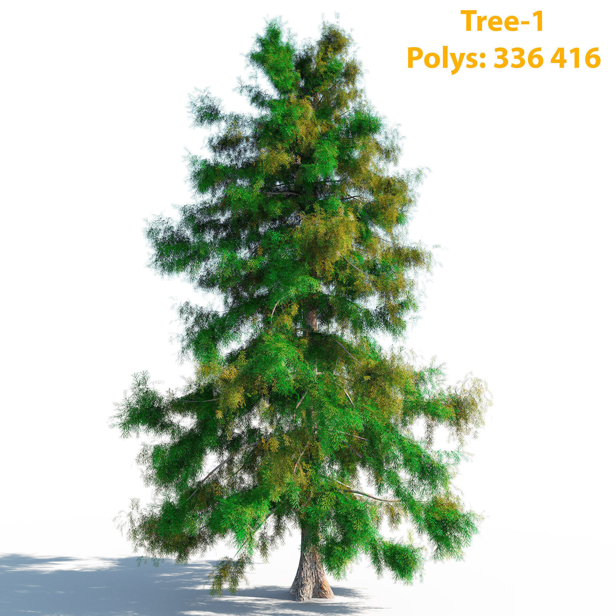 Cedar Tree Collection 5 Models 3D model | CGTrader