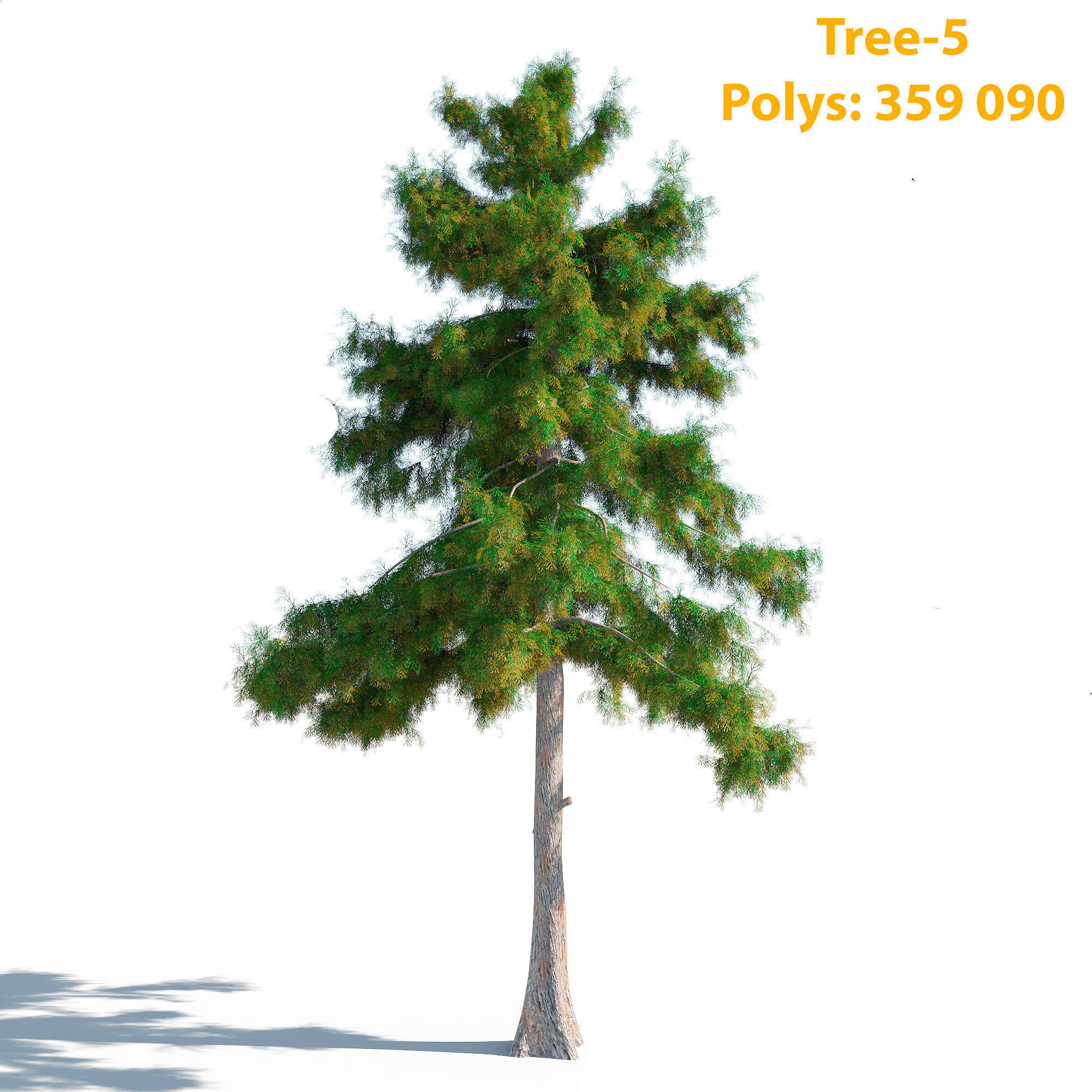 Cedar Tree Collection 5 Models 3D model | CGTrader