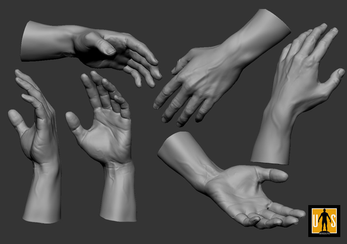 hand in 4 poses 3D model | CGTrader