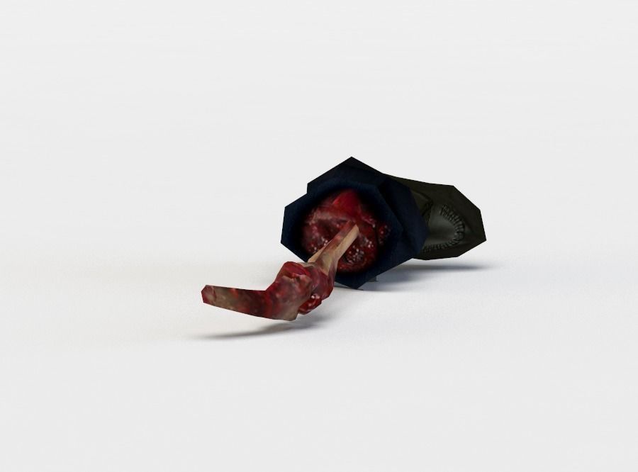 3D model Zombie leg VR / AR / low-poly | CGTrader