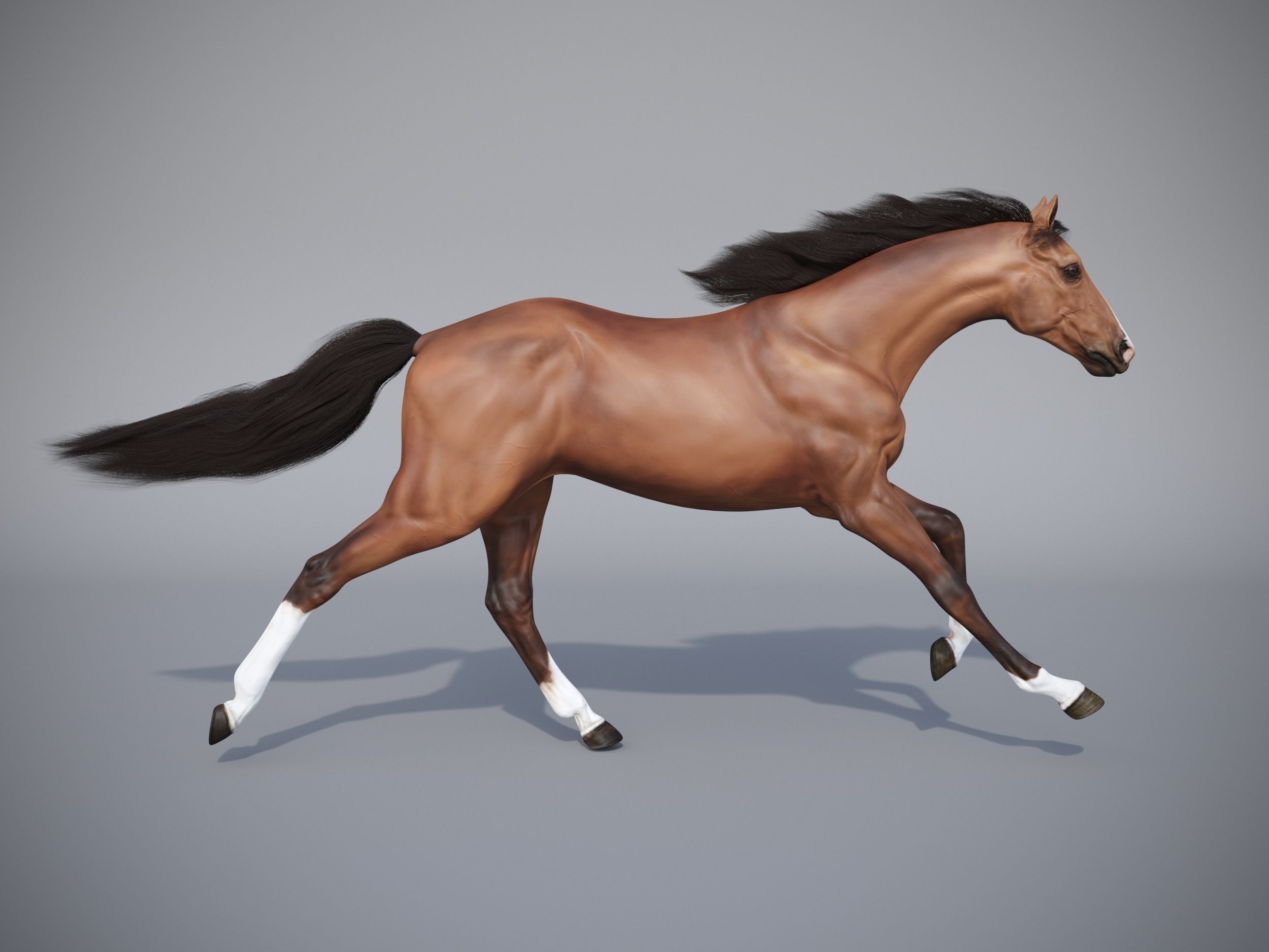 3D model horse running VR / AR / low-poly | CGTrader