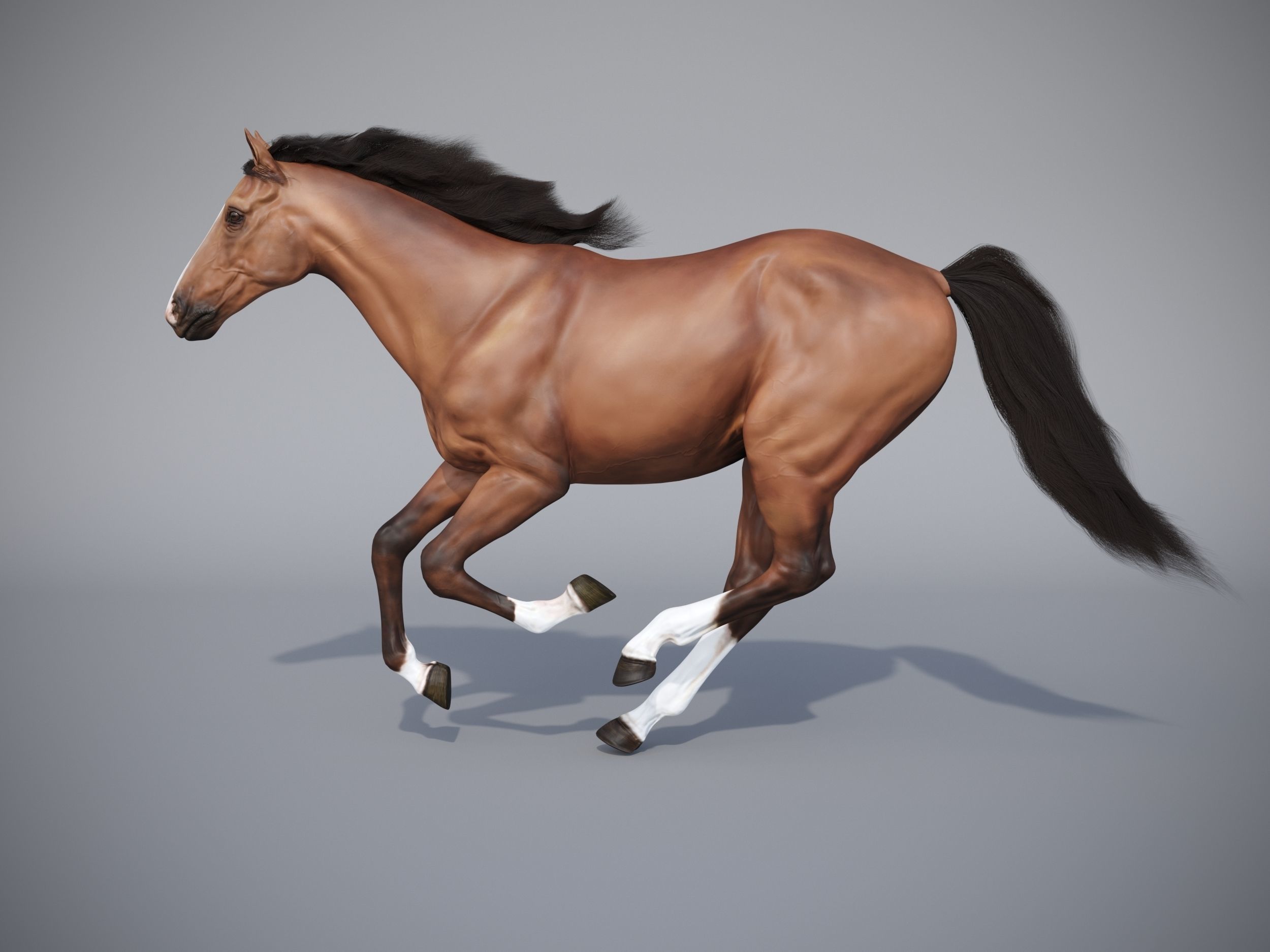 3D model horse running VR / AR / low-poly | CGTrader