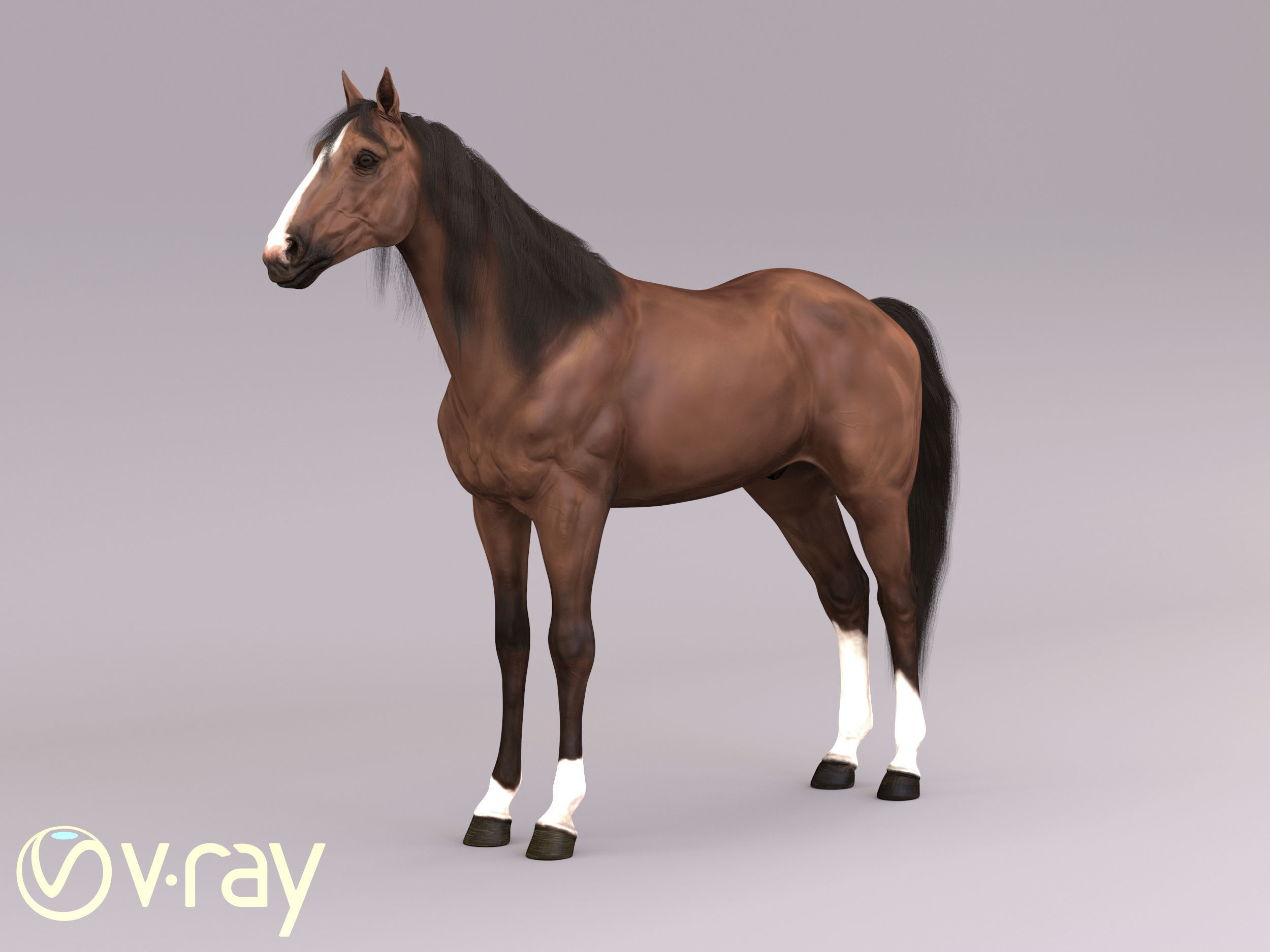 3D model horse running VR / AR / low-poly | CGTrader