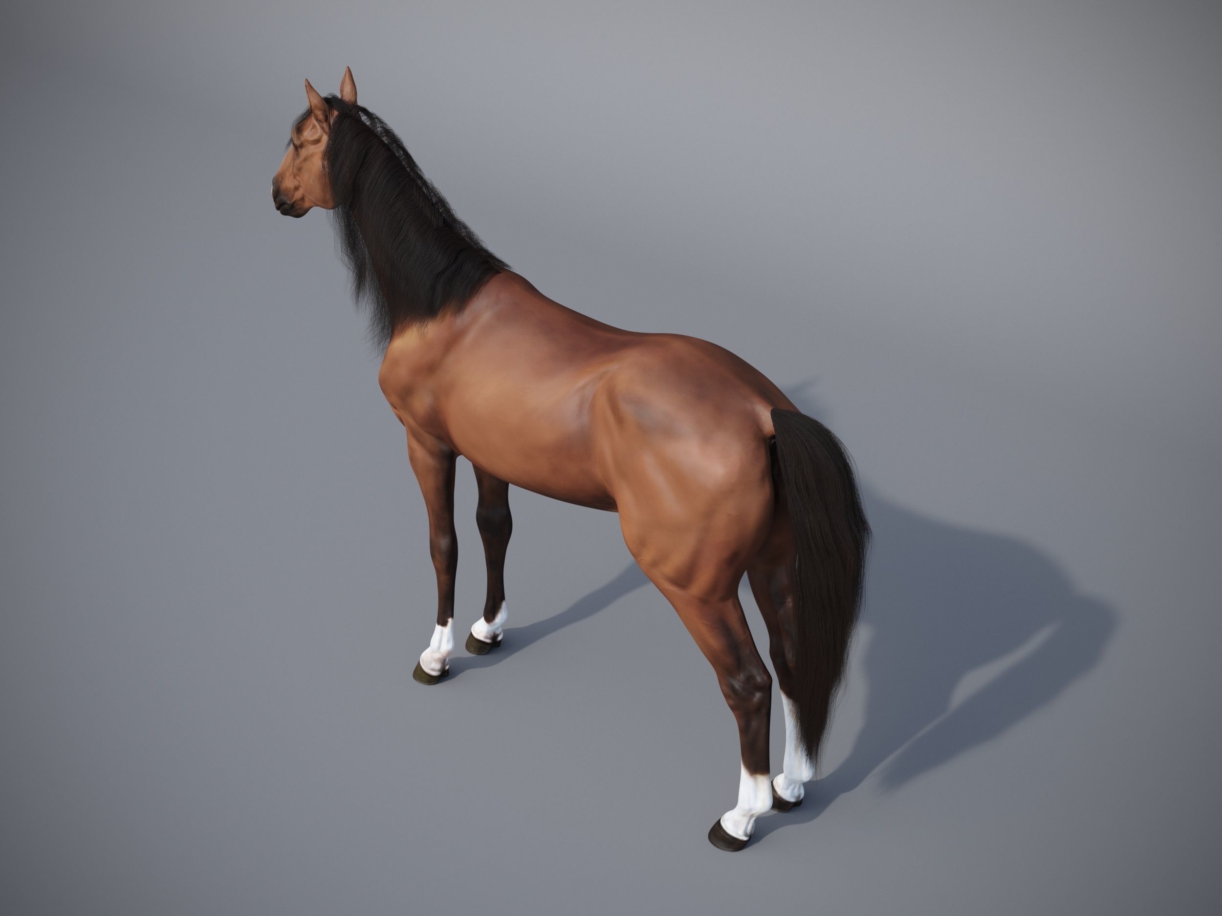 3D model horse running VR / AR / low-poly | CGTrader
