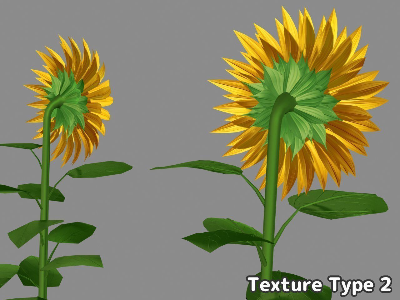 Cartoon-Styles Sunflower 3D model | CGTrader