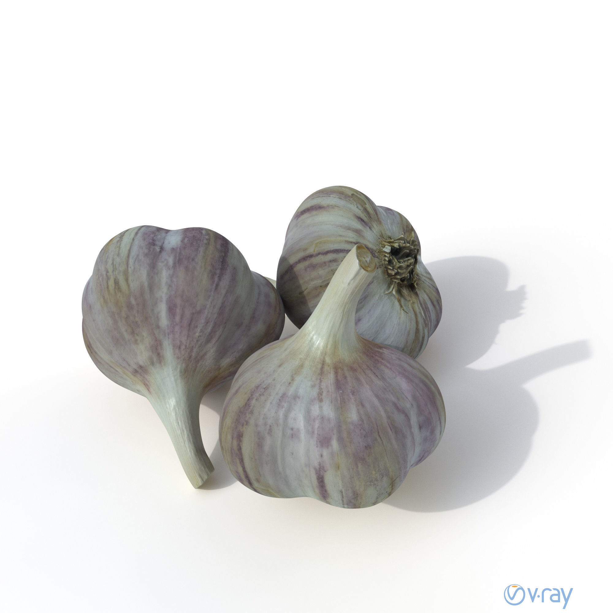 Garlic 3D model | CGTrader