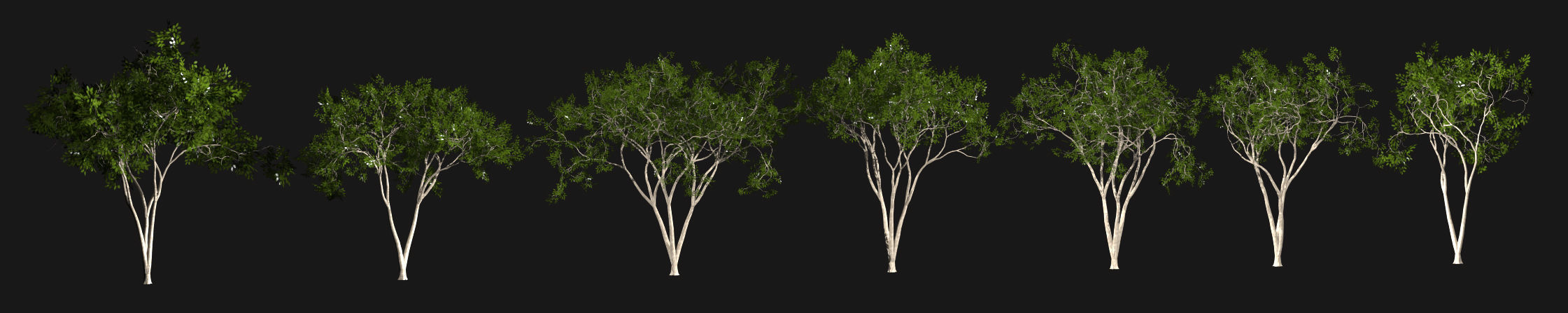 3D model Deciduous tree 3D model VR / AR / low-poly | CGTrader