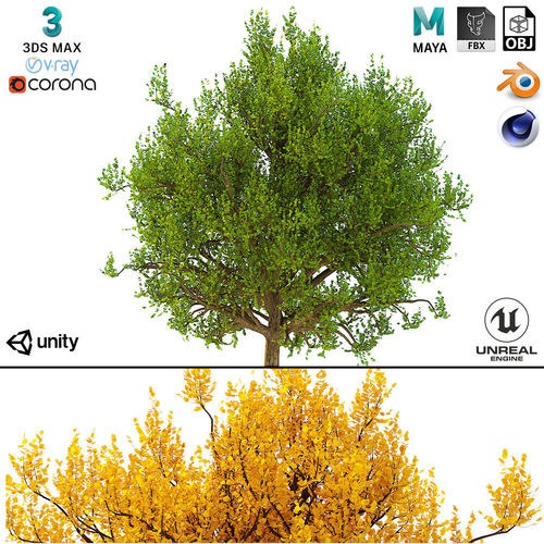 Bush 3d Model No 3 3 Seasons 3D model | CGTrader