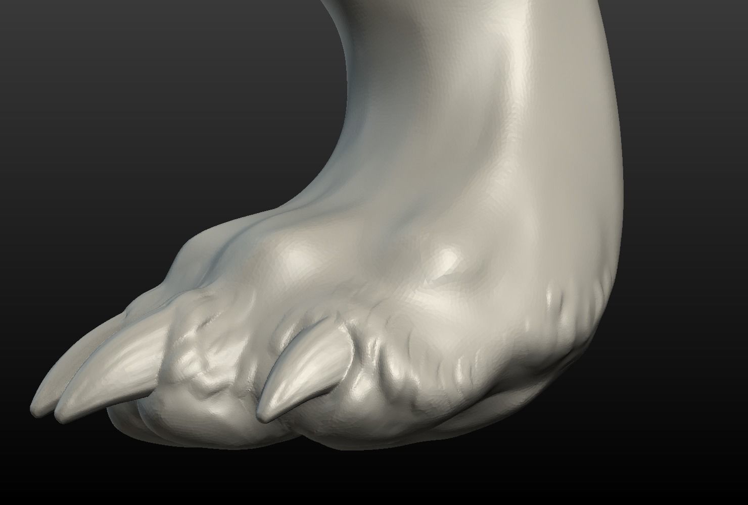 Wolf Hind Leg 3D model 3D printable | CGTrader