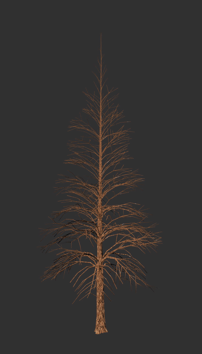 3D model Tree fir 3D model VR / AR / low-poly | CGTrader