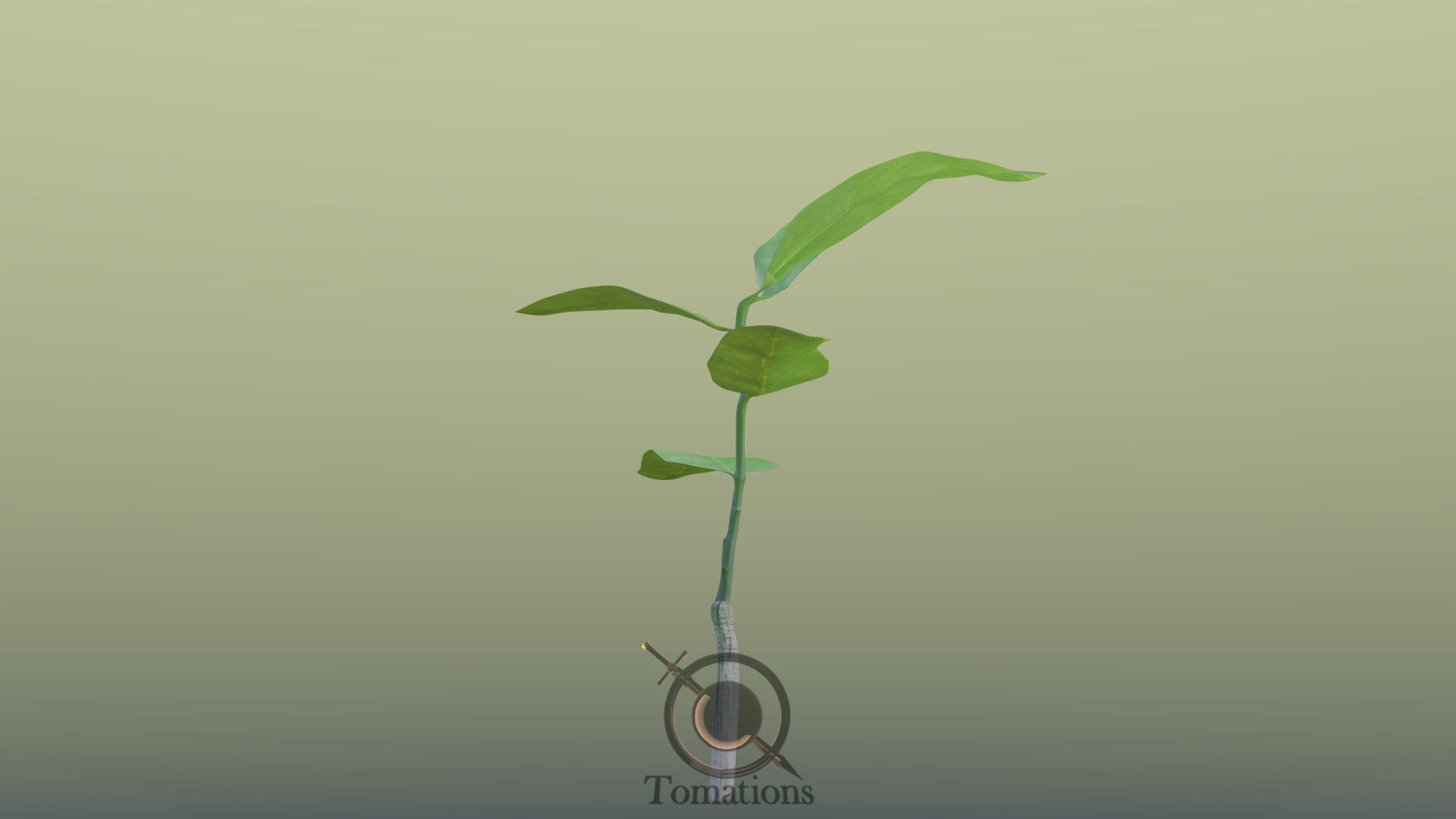 Sprout 3D model | CGTrader