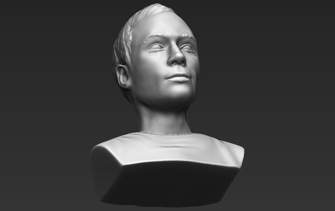 Sheldon Big Bang Theory bust ready for full color 3D printing 3D model ...