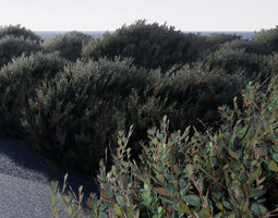Greenery 3D Models | CGTrader