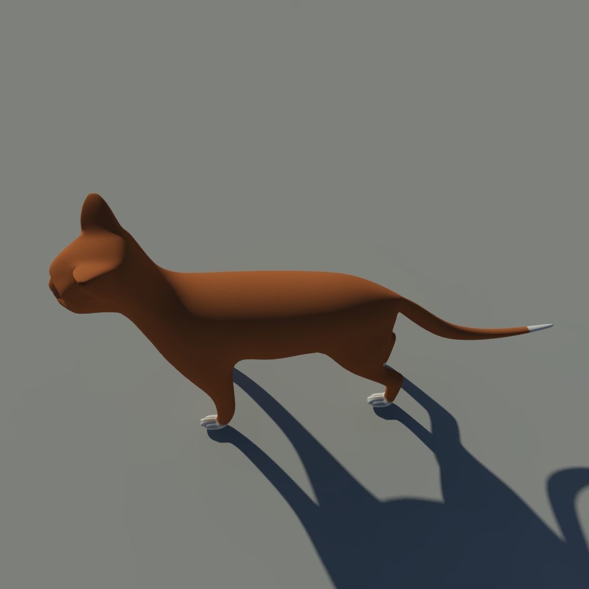 3D Cat Model free 3D model | CGTrader