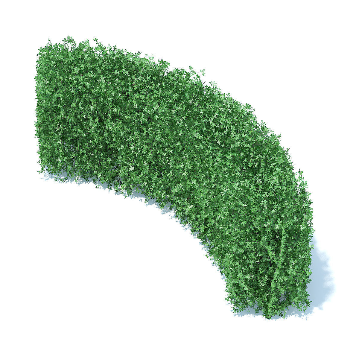 Curved Hedge 3D model | CGTrader