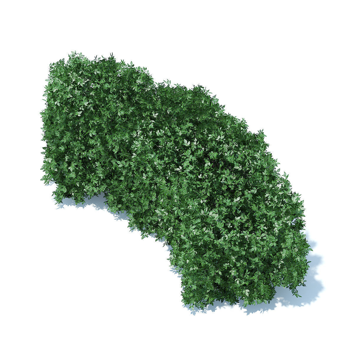 Curved Hedge 3D model | CGTrader