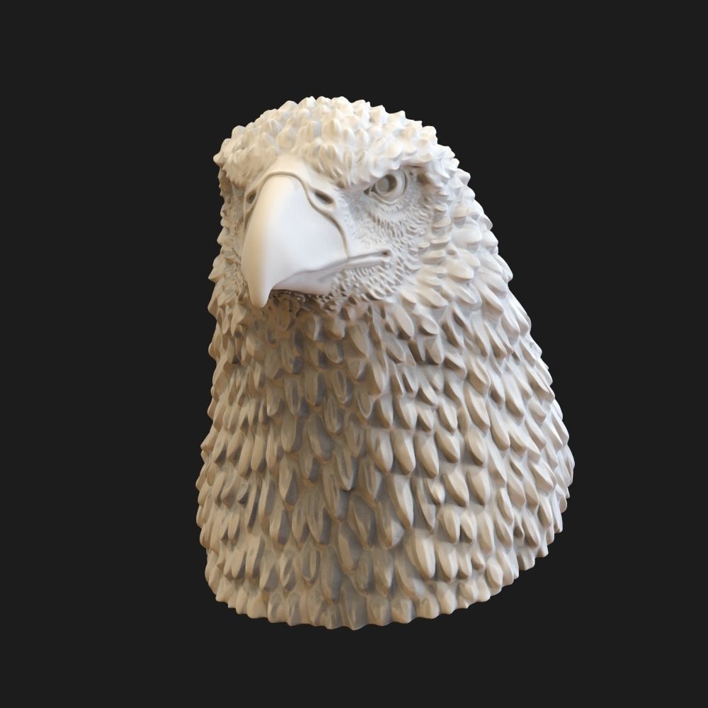 Eagle head 3D model 3D printable | CGTrader