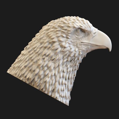 Eagle head 3D model 3D printable | CGTrader