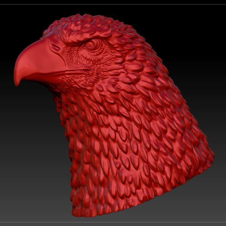 Eagle head 3D model 3D printable | CGTrader