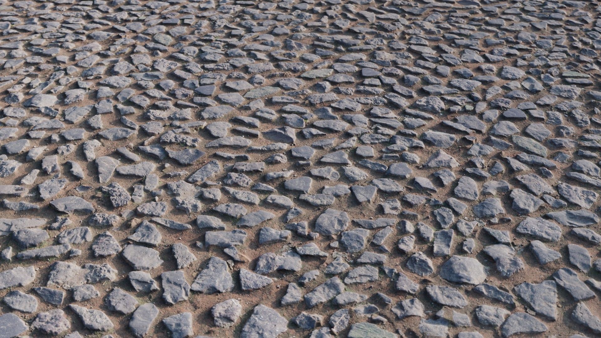 Friendly Shade Premiere Bundle Educational Up To 16k Texture | CGTrader