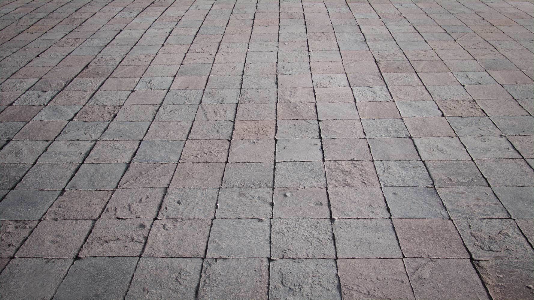 Friendly Shade Premiere Bundle Educational Up To 16k Texture | CGTrader