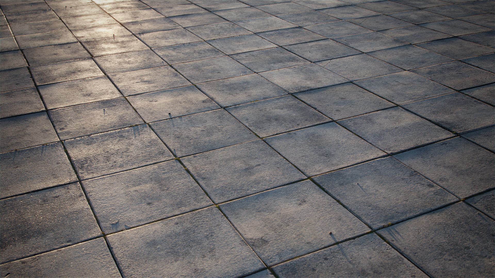 Friendly Shade Premiere Bundle Educational Up To 16k Texture | CGTrader