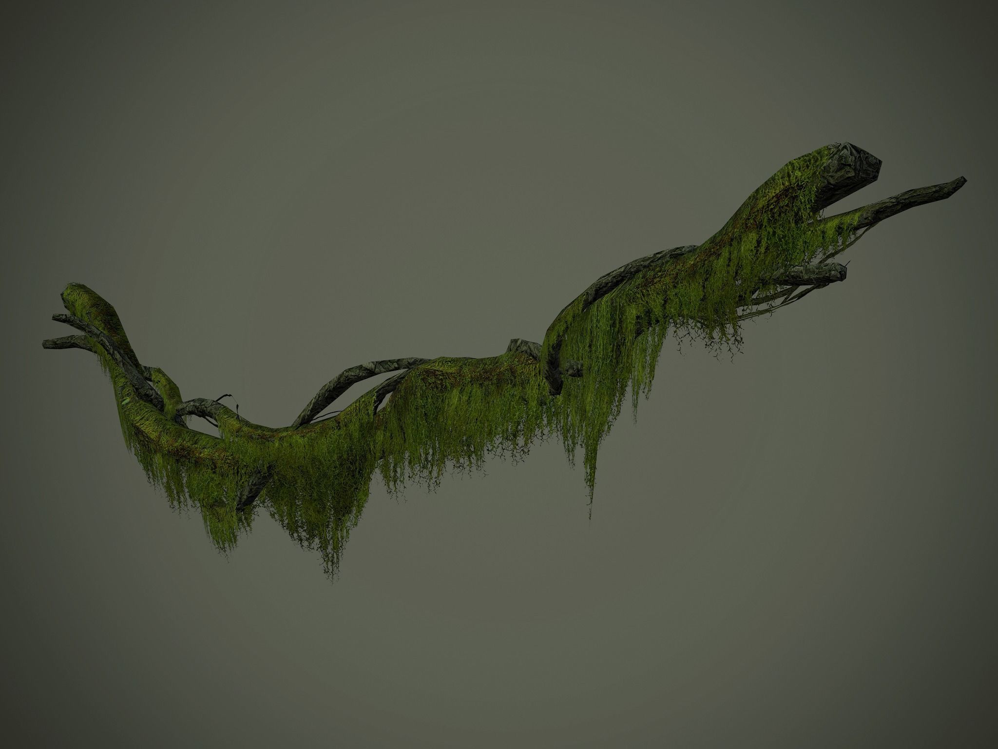 3D model Nature Assets - Forest Vines Pack VR / AR / low-poly | CGTrader