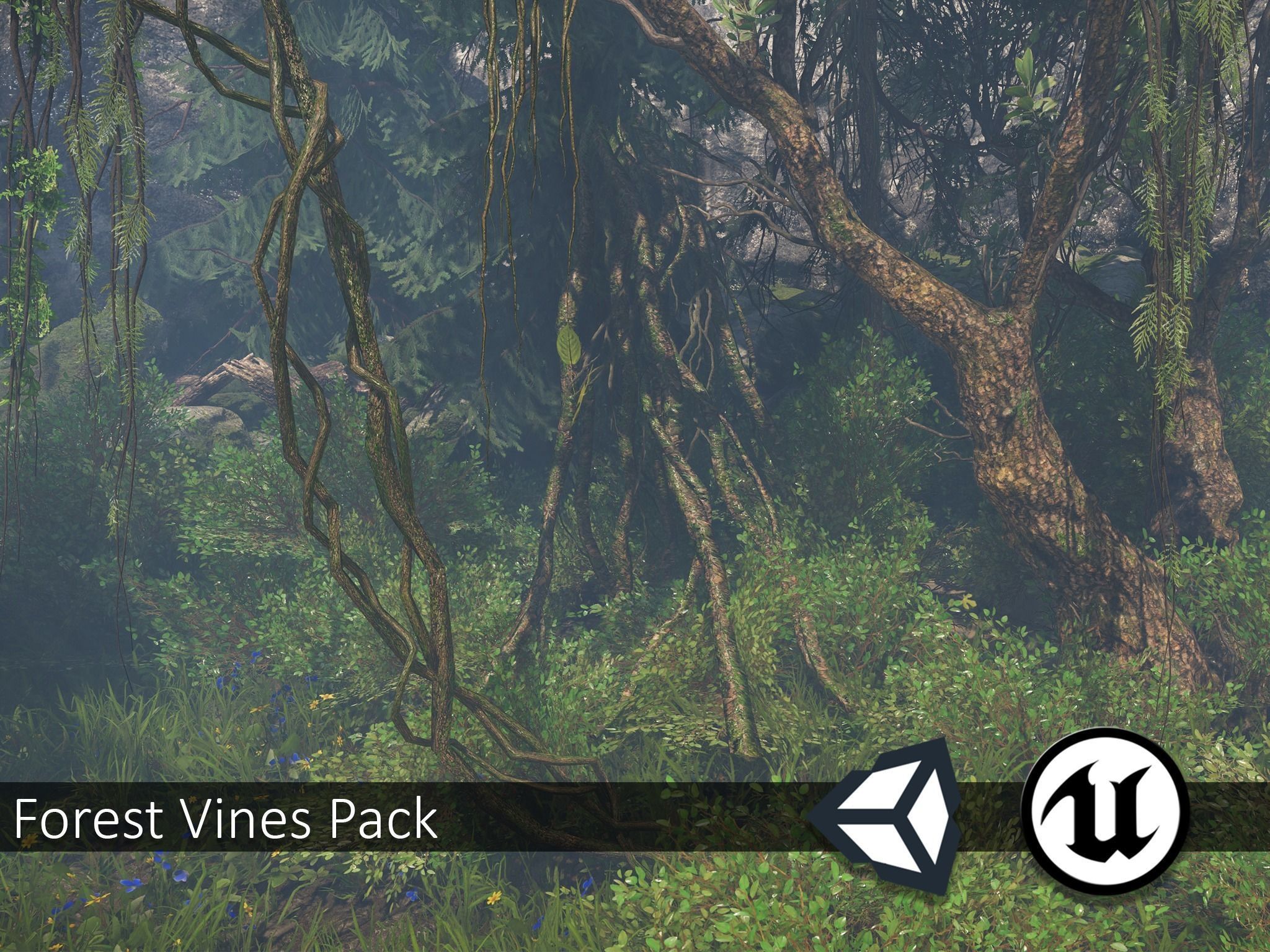 3D model Nature Assets - Forest Vines Pack VR / AR / low-poly | CGTrader