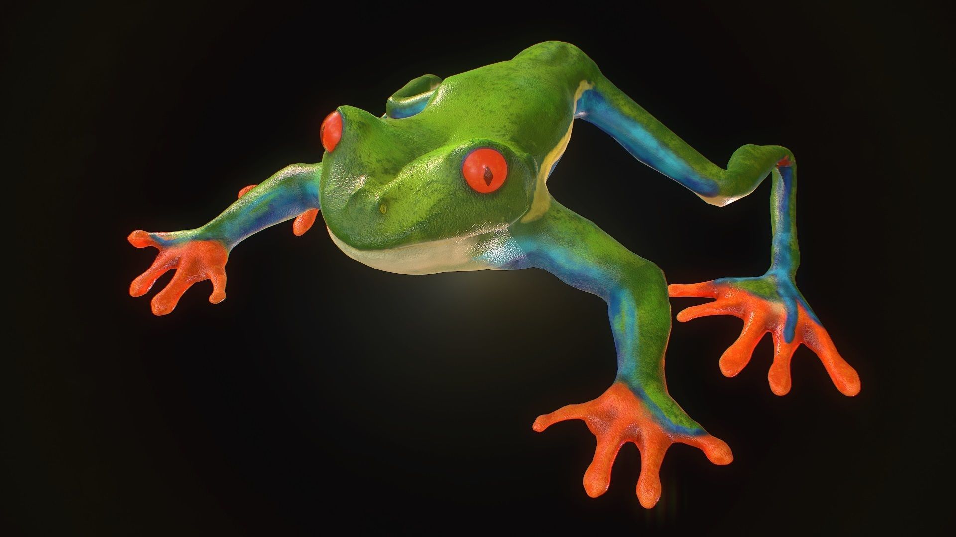 3D model Low poly tree frog Hylidae amphibian model VR / AR / low-poly ...
