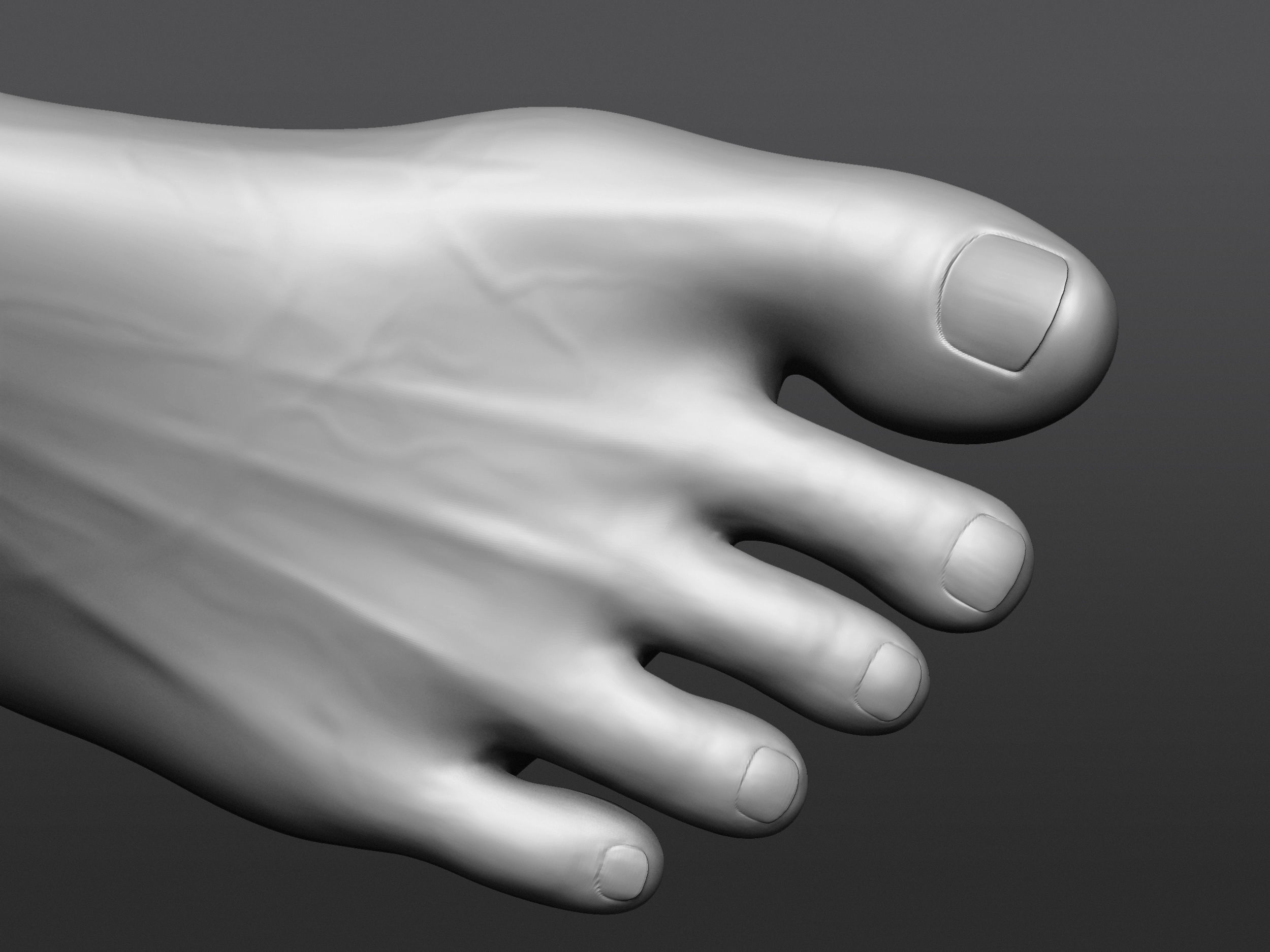 Human 3D foot model 3D model | CGTrader