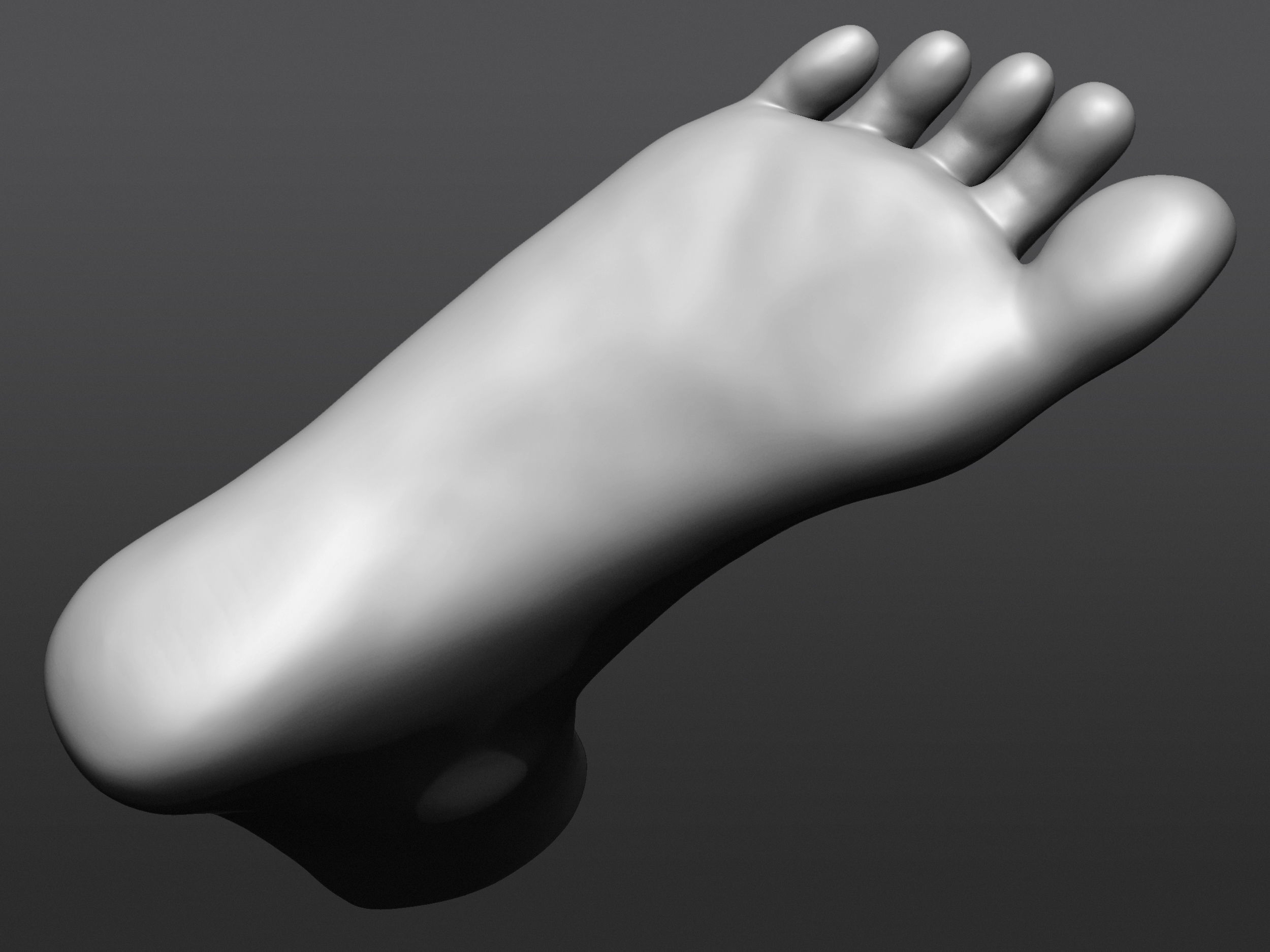 Human 3D foot model 3D model | CGTrader