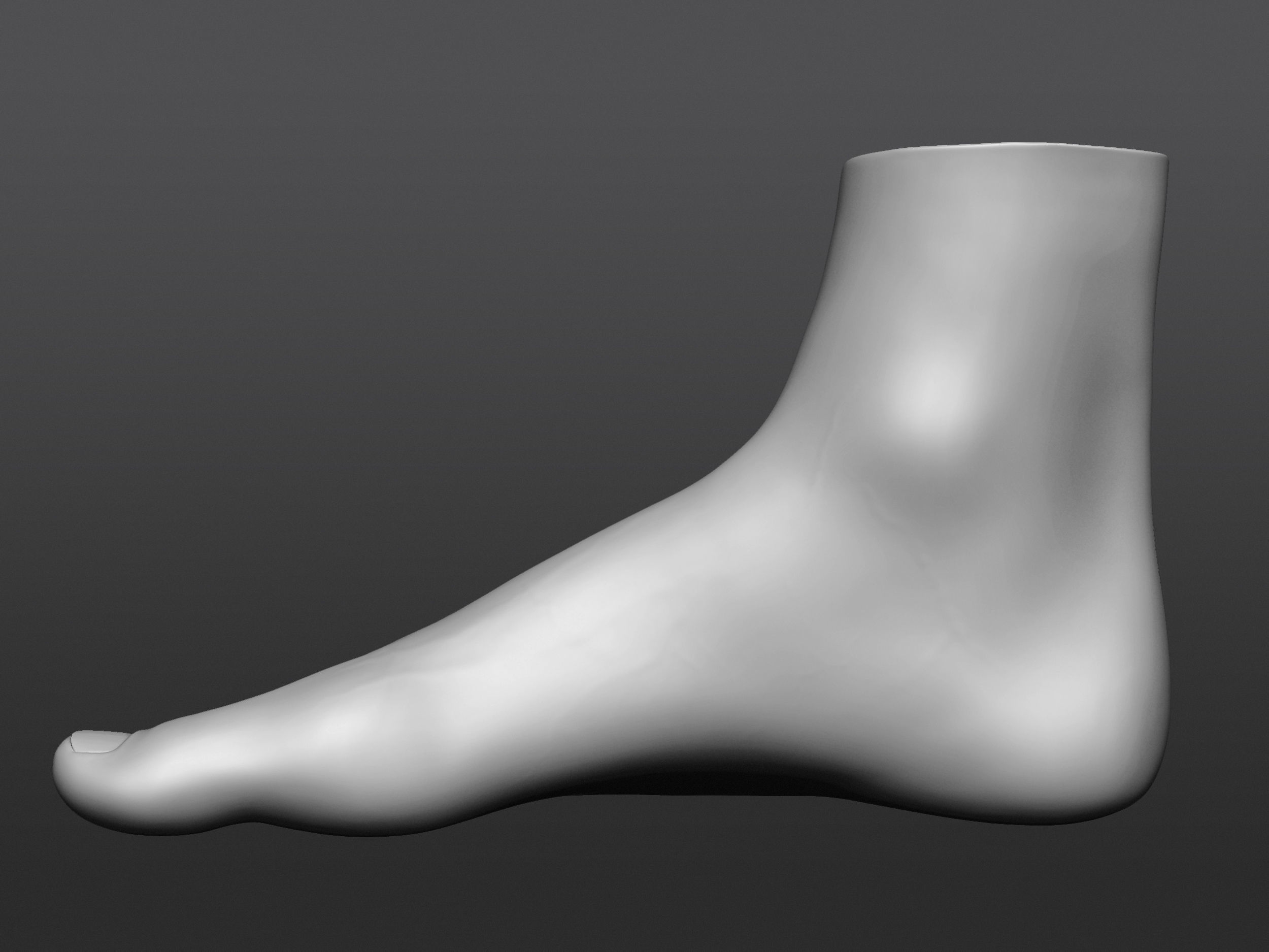 Human 3D foot model 3D model | CGTrader