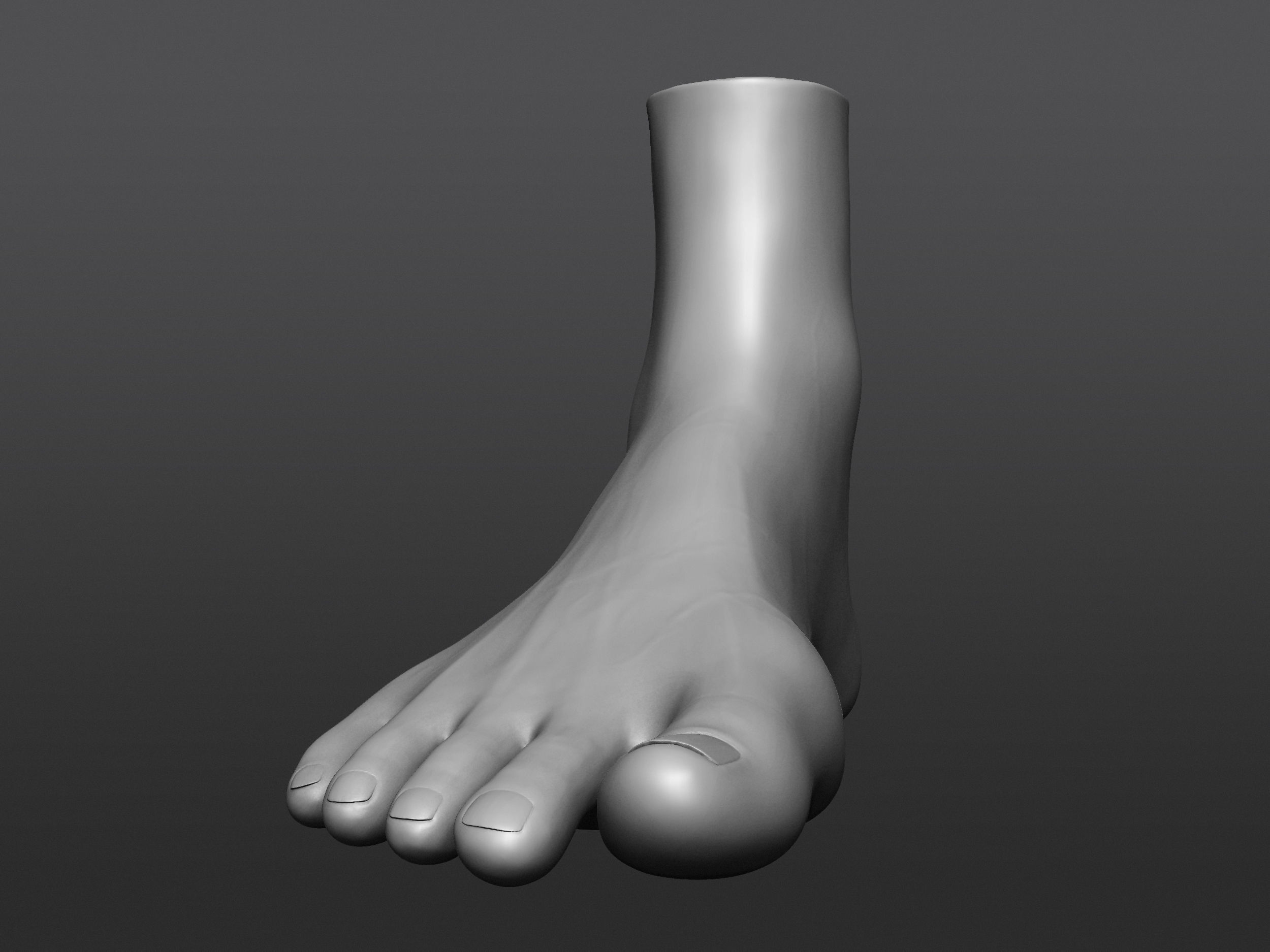 Human 3D foot model 3D model | CGTrader