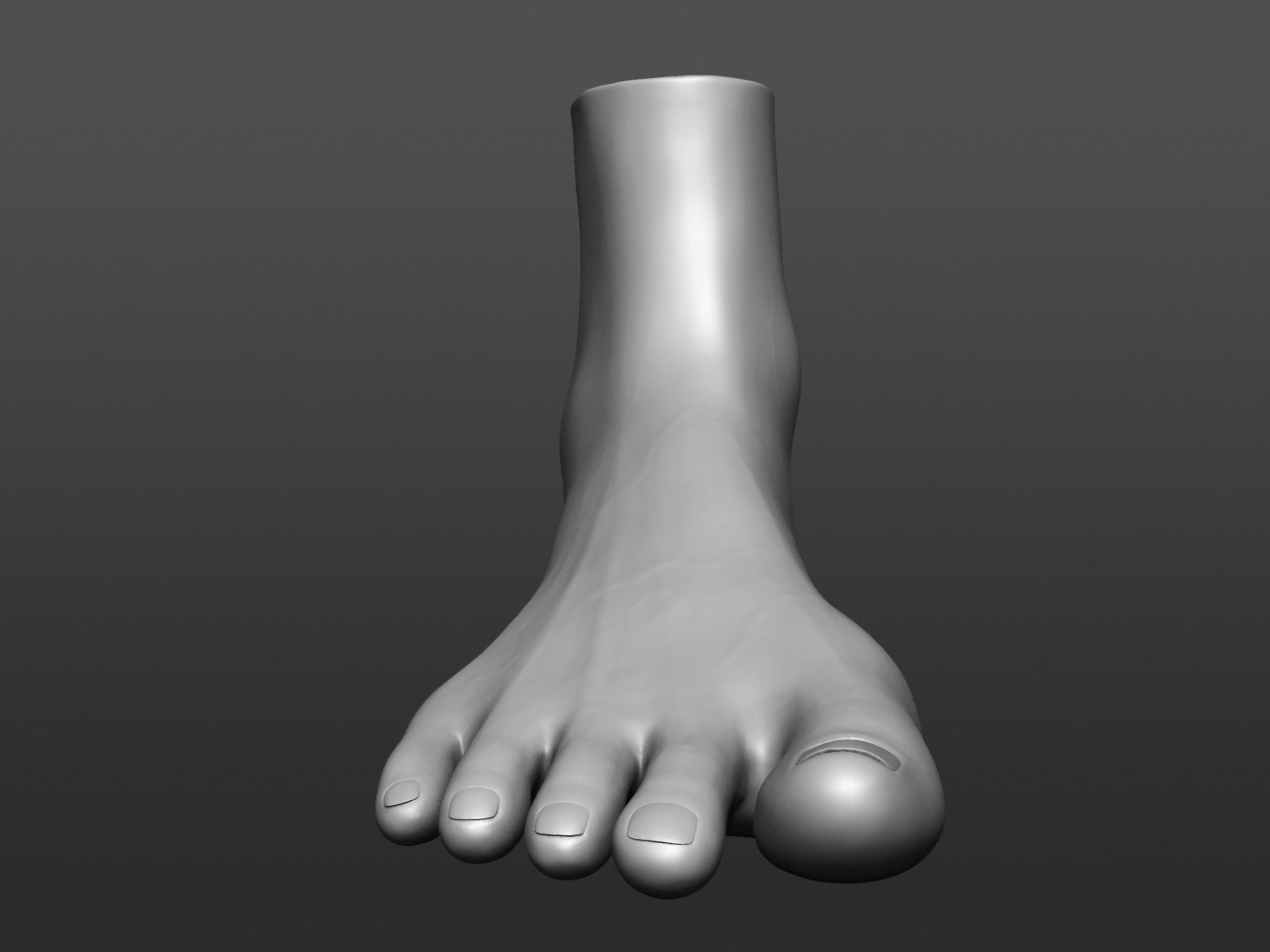 Human 3D foot model 3D model | CGTrader