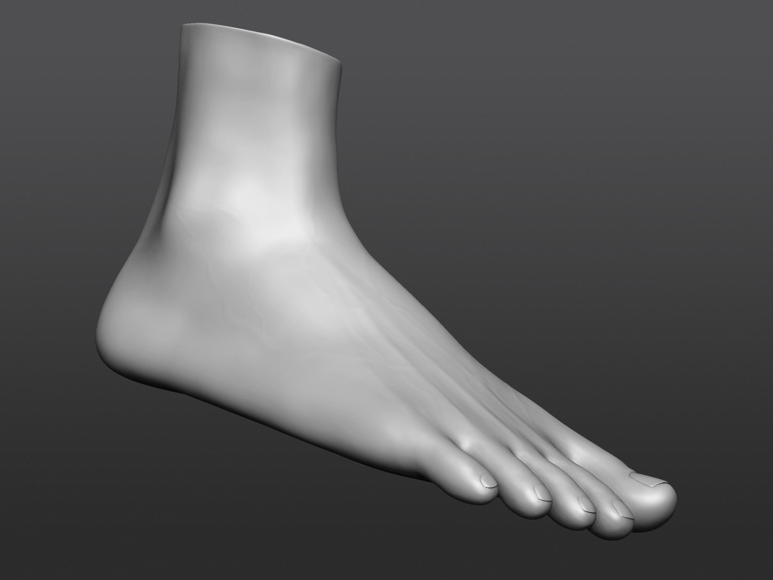 Human 3D foot model 3D model | CGTrader