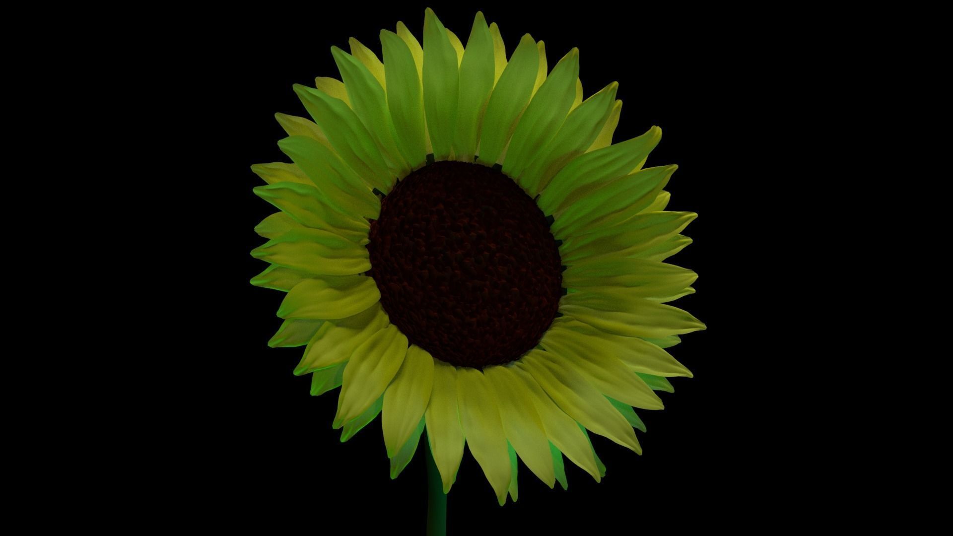 Sunflower 3D Model for Gardens and Interior CG 3D model | CGTrader