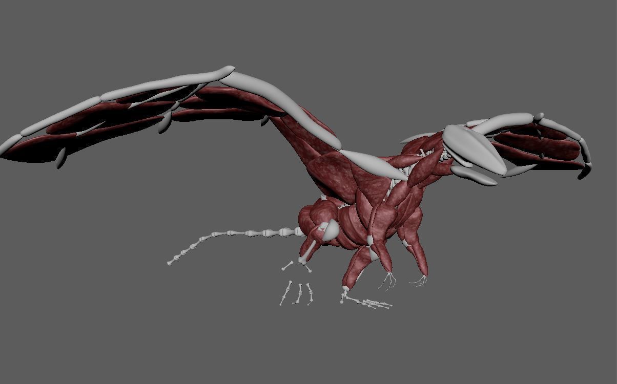 3D model POKEMON CHARIZARD VR / AR / low-poly rigged | CGTrader