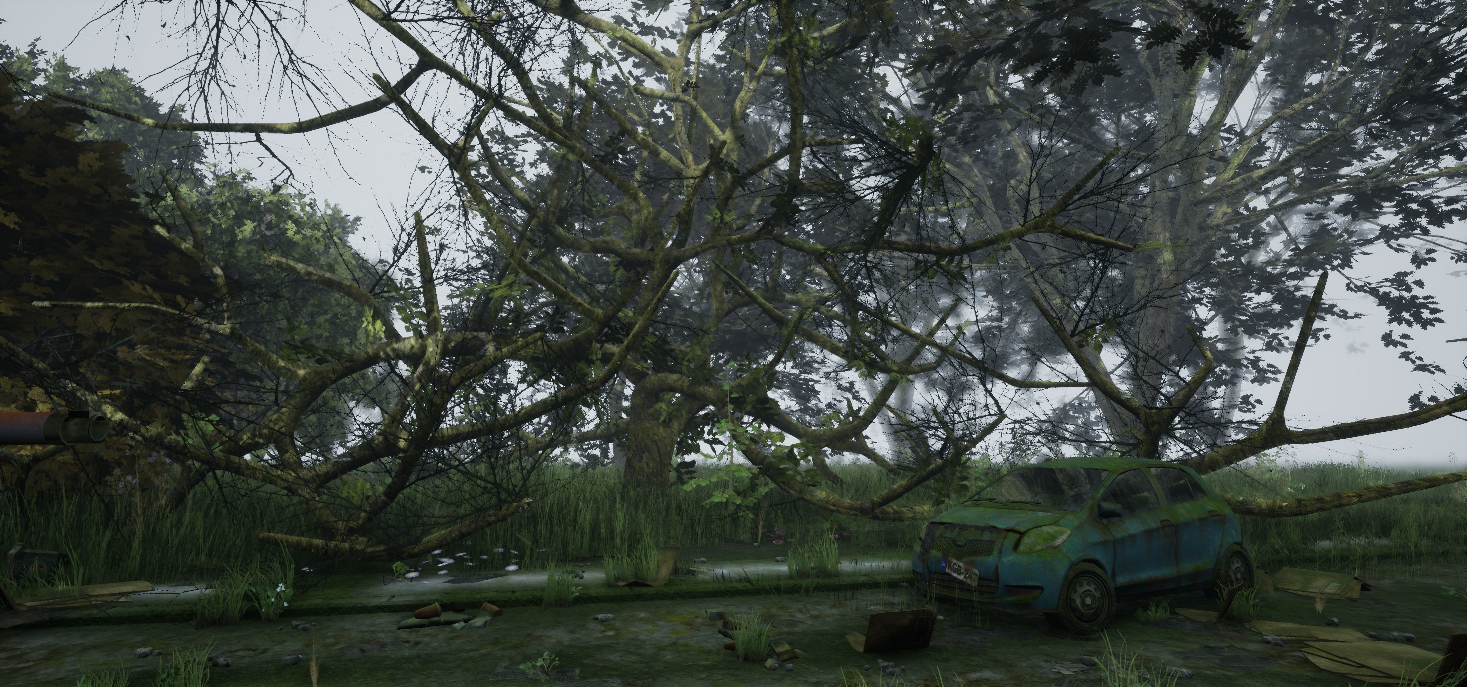 Tree Die Old free VR / AR / low-poly 3D model | CGTrader