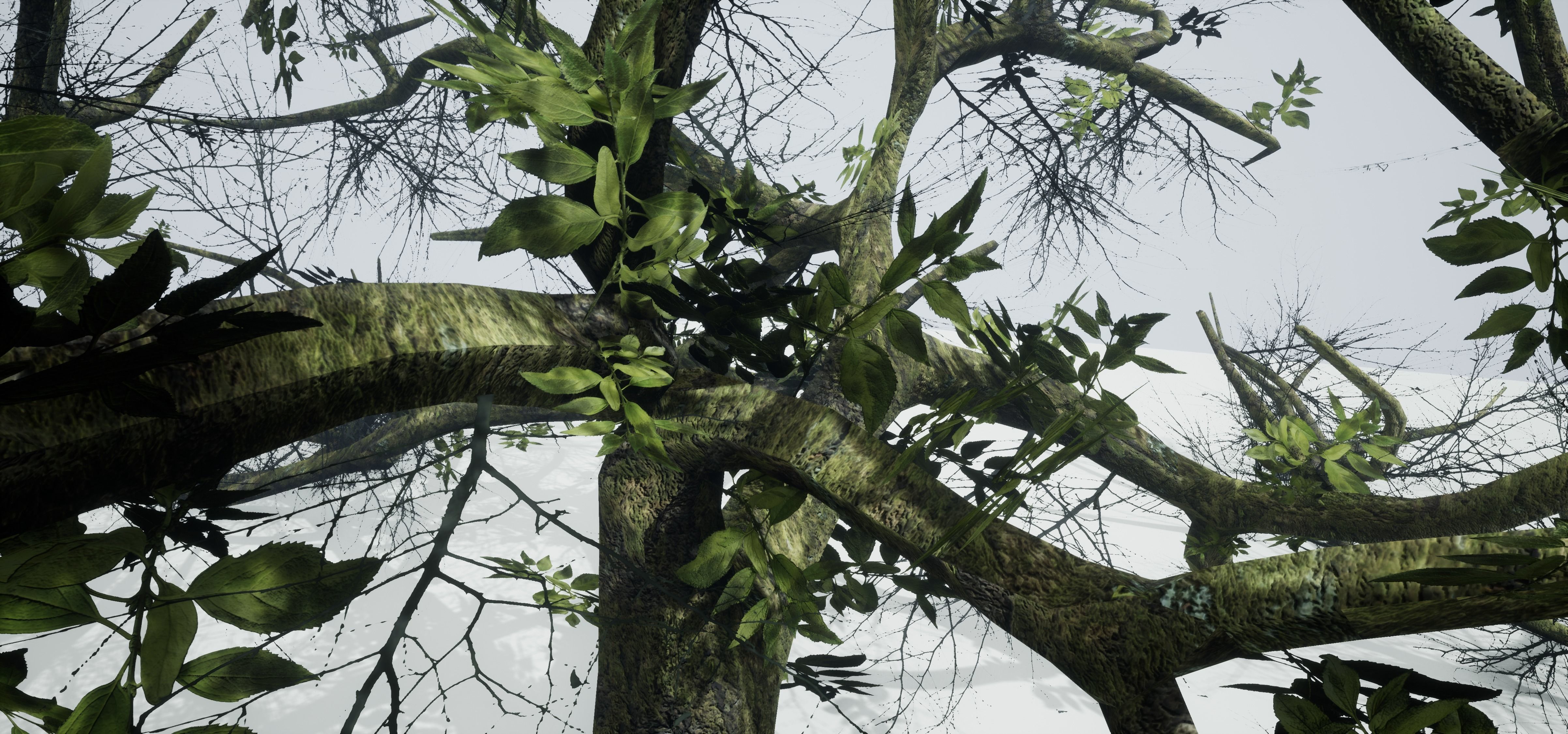 Tree Die Old free VR / AR / low-poly 3D model | CGTrader