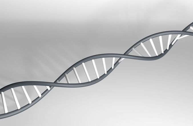 DNA Strand 3D model | CGTrader