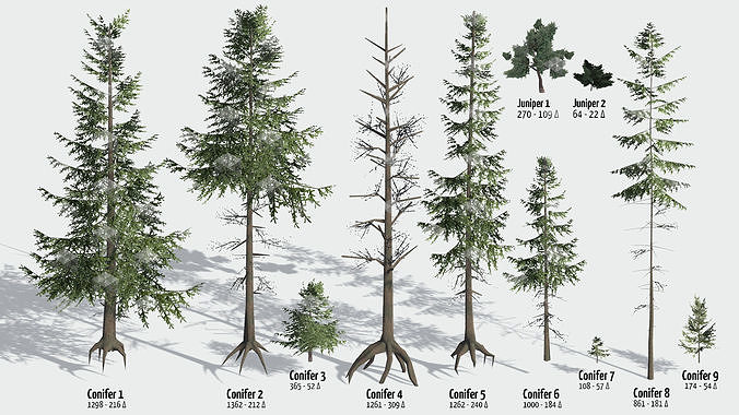 3D model Conifer Trees VR / AR / low-poly | CGTrader