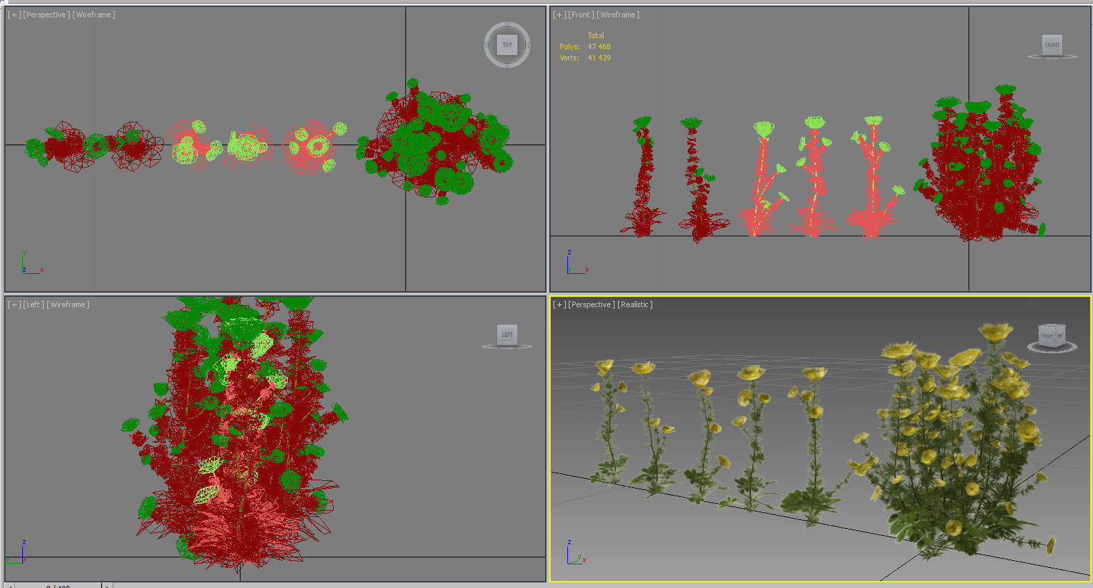 3D model Flowers Buttercup 3D model VR / AR / low-poly | CGTrader