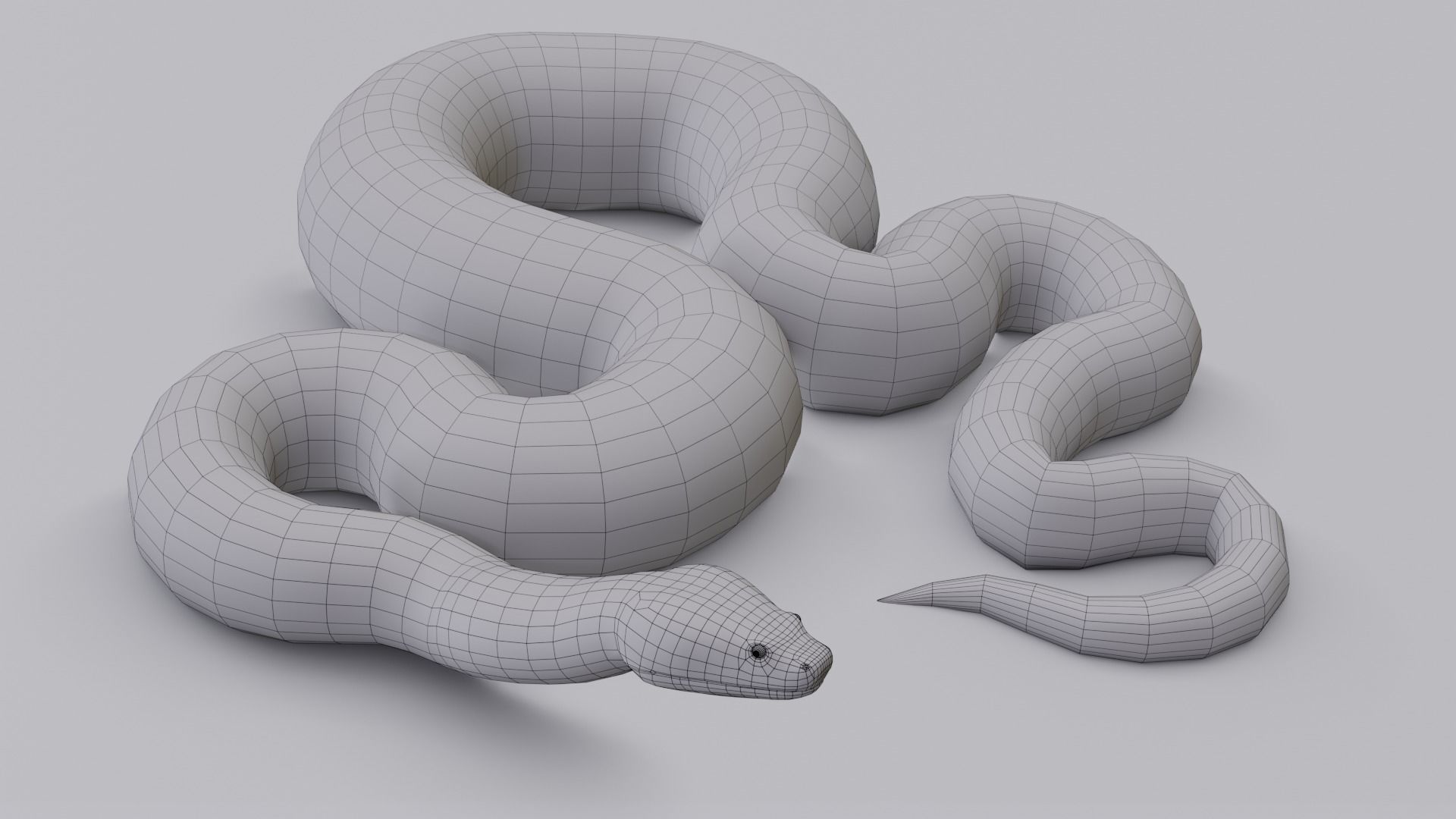 3D model Animated Green Anaconda VR / AR / low-poly rigged animated ...