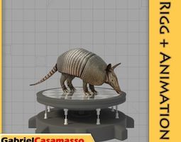 Armadillo 3D Models | CGTrader